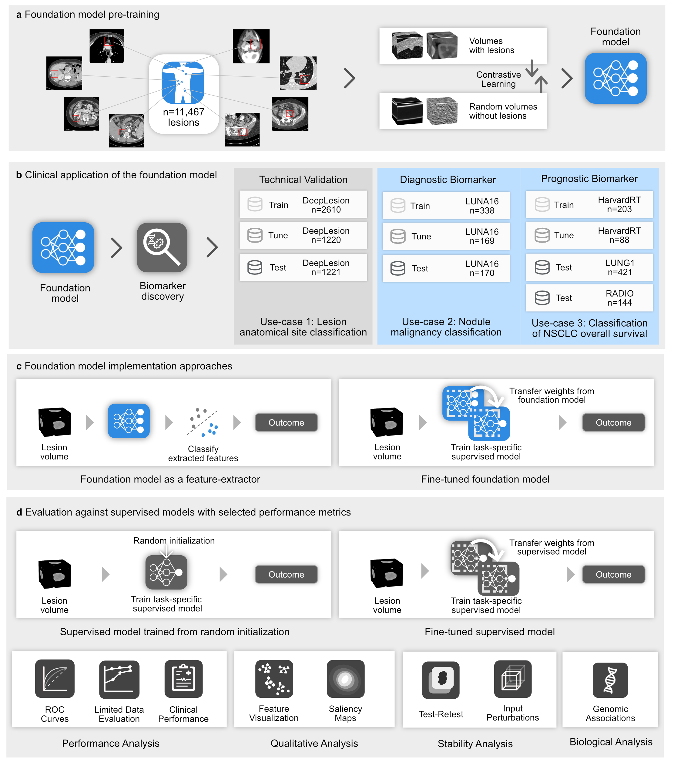 Foundation Model for Cancer Imaging Biomarkers